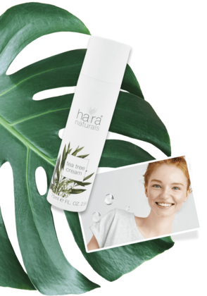 Ha-Ra | Willkommen bei Ha-Ra